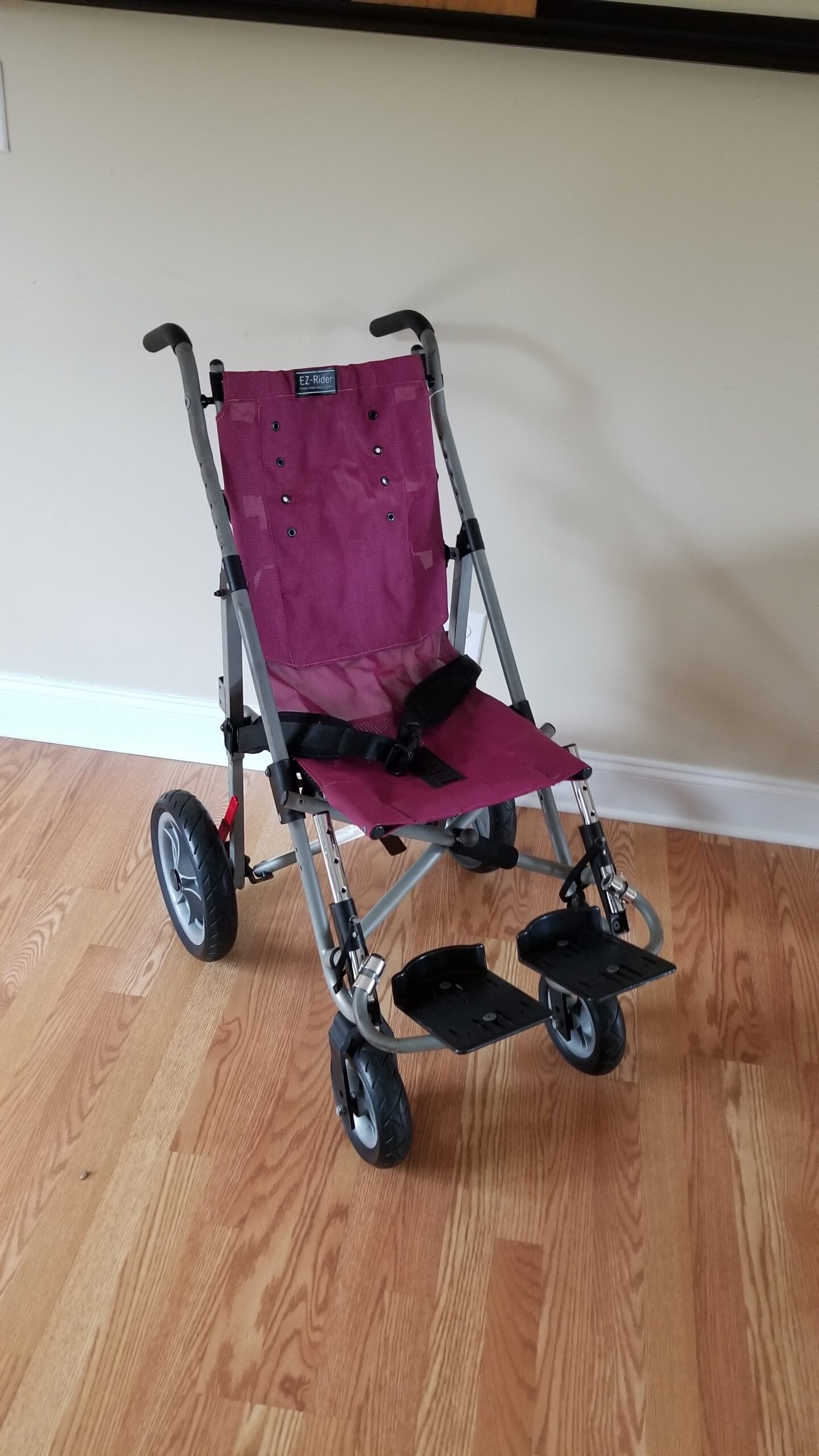 EZ Rider stroller | Children's Assistive Technology Service (C.A.T.S.)