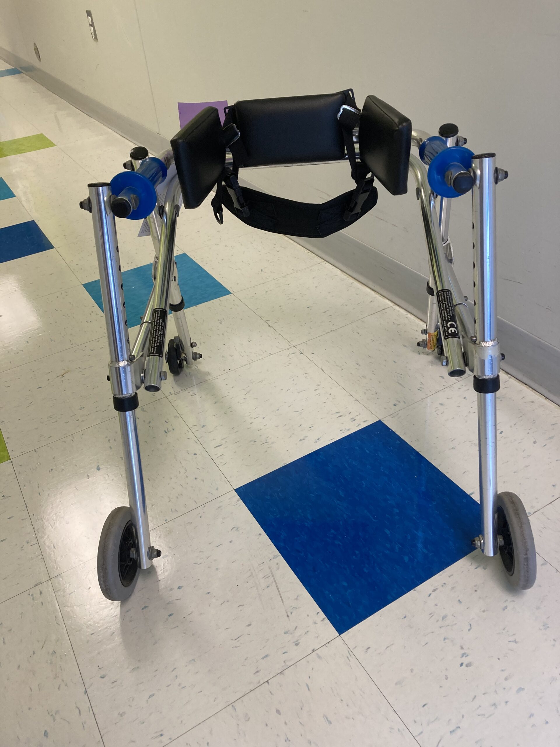 Kaye Posterior Walker, size W1 | Children's Assistive Technology ...