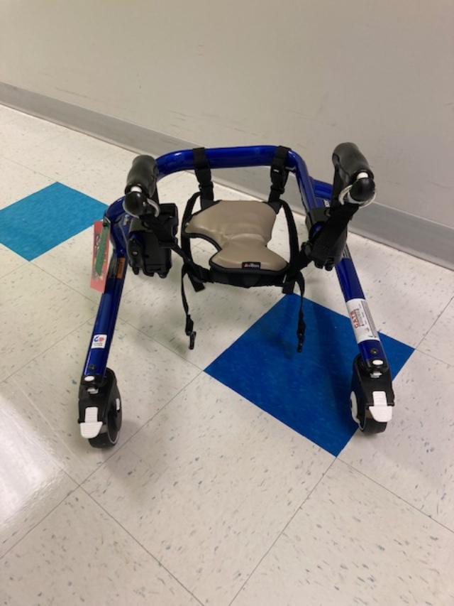 Pacer Gait Trainer, mini | Children's Assistive Technology Service (C.A ...