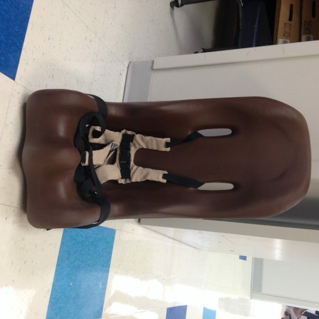 Special Tomato Sitter | Children's Assistive Technology Service (C.A.T.S.)