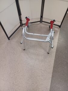 Reverse Walker - 2 Wheel Walker - W2BRS | Children's Assistive ...