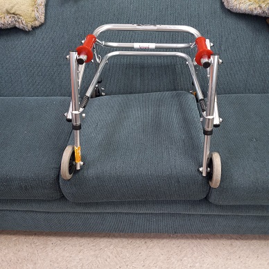 Kaye Anterior Walker - W1B,R,S | Children's Assistive Technology ...